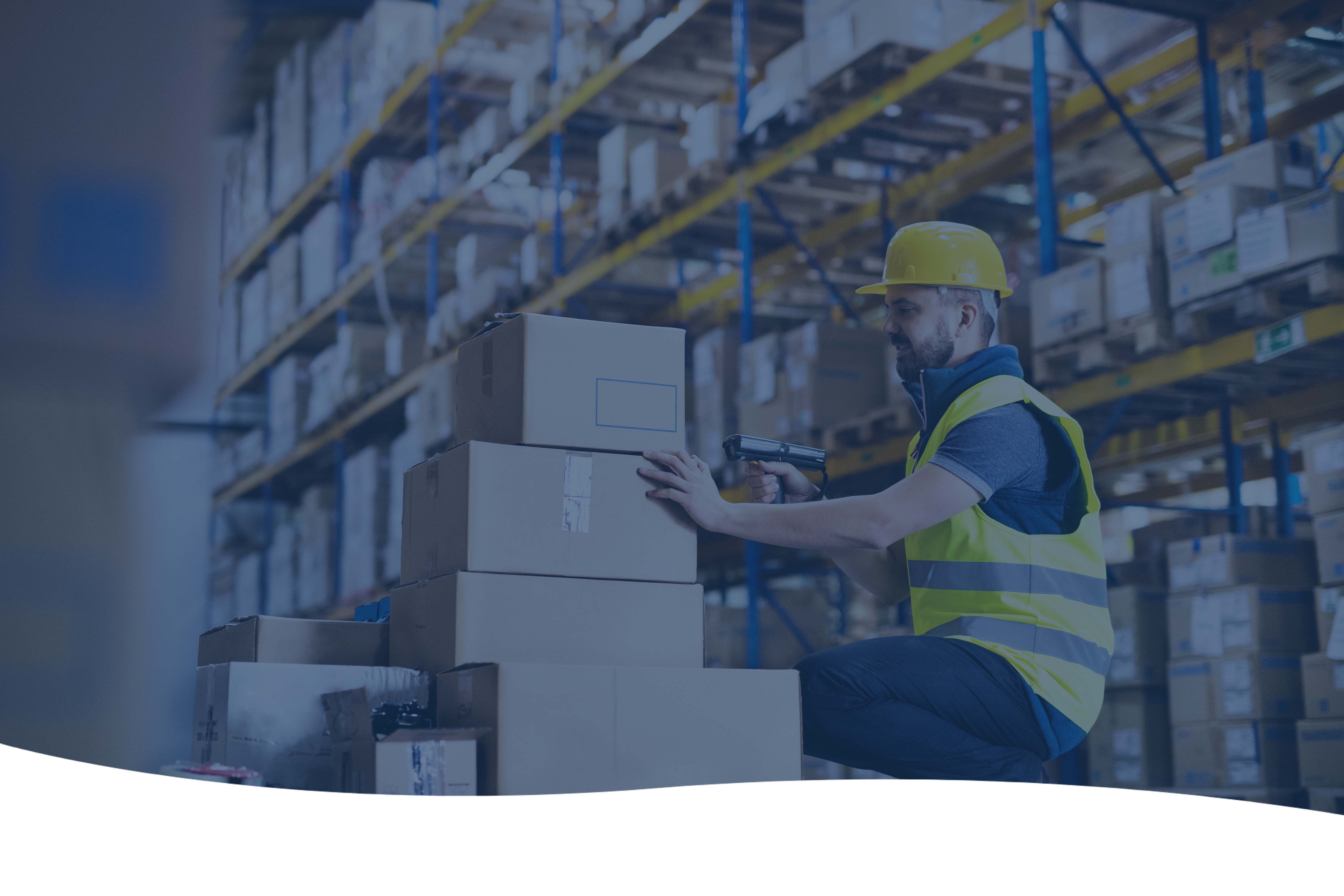 Warehouse Management System (WMS) for NetSuite - Youtube